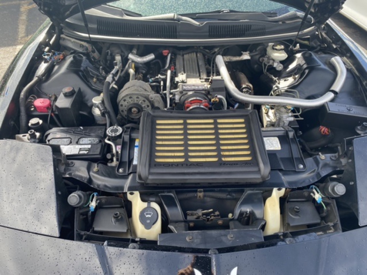 #400 - 1996 Pontiac Trans AM WS6 Harley Davidson Edition | MAG Auctions