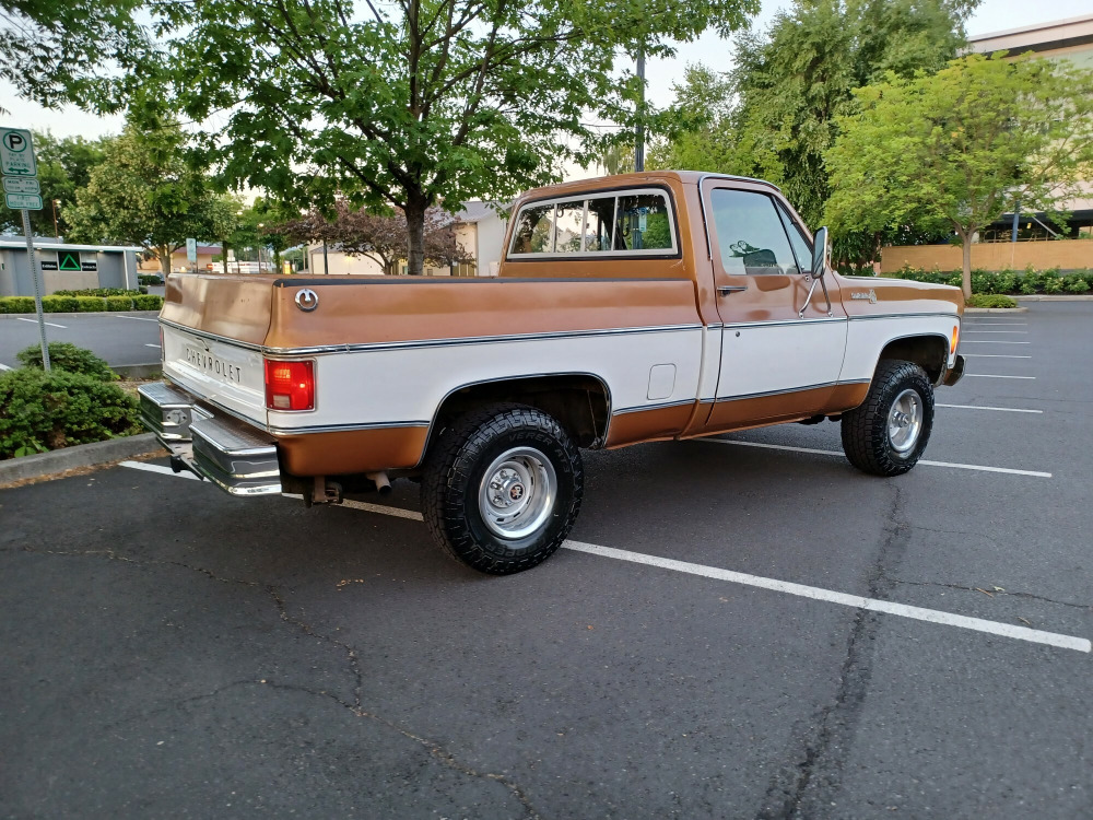 #393 - 1979 Chevrolet Shortwide 4 x 4 | MAG Auctions