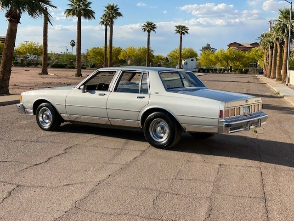 #150 - 1984 Chevrolet Caprice | MAG Auctions