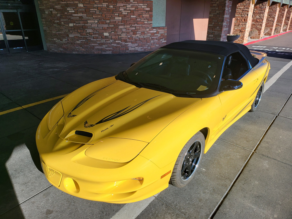 #225 - 2002 Pontiac Trans Am WS6 Collectors Edition | MAG Auctions