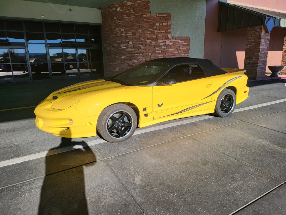 #225 - 2002 Pontiac Trans Am WS6 Collectors Edition | MAG Auctions