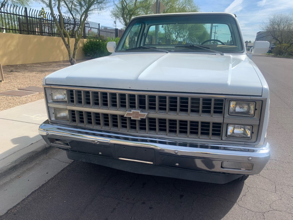#157 - 1981 Chevrolet C10 Pickup | MAG Auctions