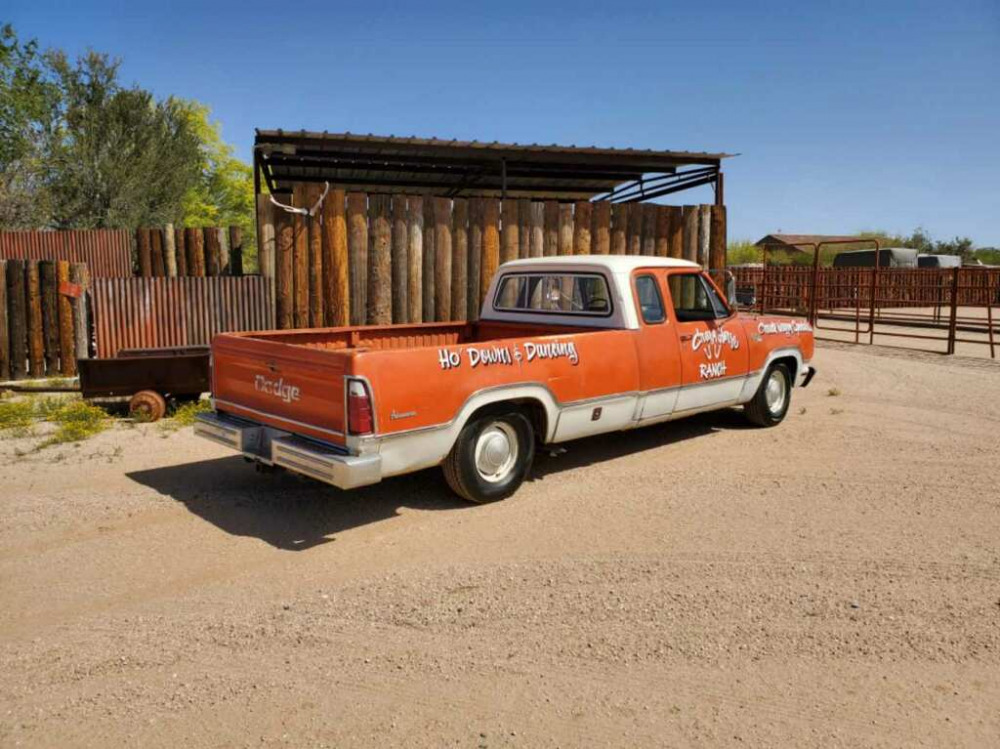 #134 - 1973 Dodge D100 Pickup | MAG Auctions