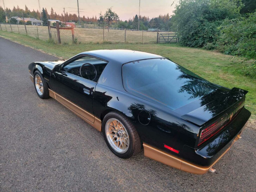 #333 - 1985 Pontiac Firebird Trans Am | MAG Auctions