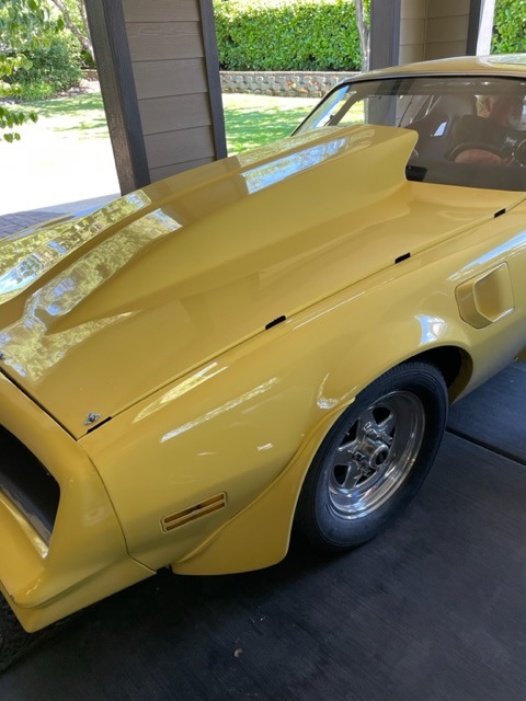 #361 - 1977 Pontiac Trans Am Custom | MAG Auctions