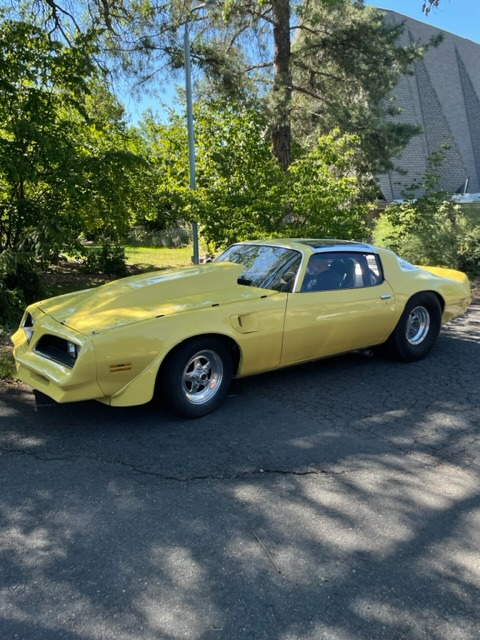 #361 - 1977 Pontiac Trans Am Custom | MAG Auctions