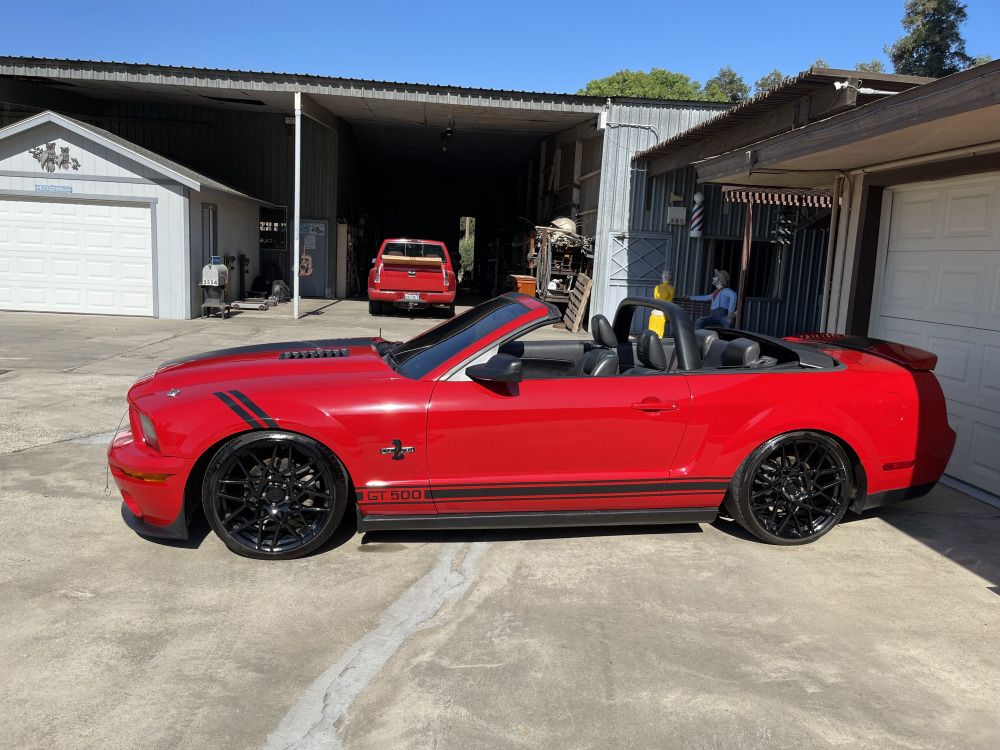 #321 - 2005 Ford Mustang GT | MAG Auctions