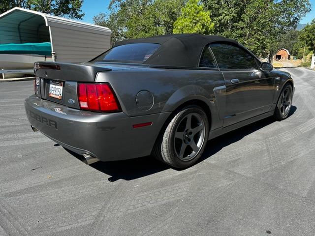 #350 - 2003 Ford SVT Cobra Terminator Supercharged | MAG Auctions