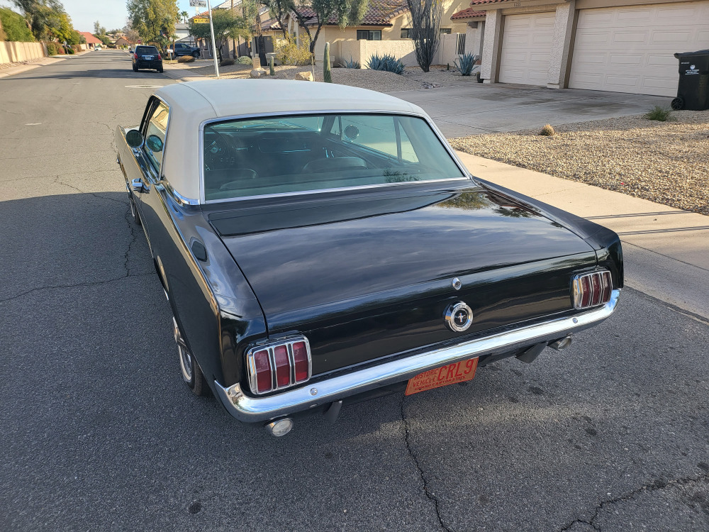 #442 - 1964 1/2 Ford Mustang D Code Coupe | MAG Auctions