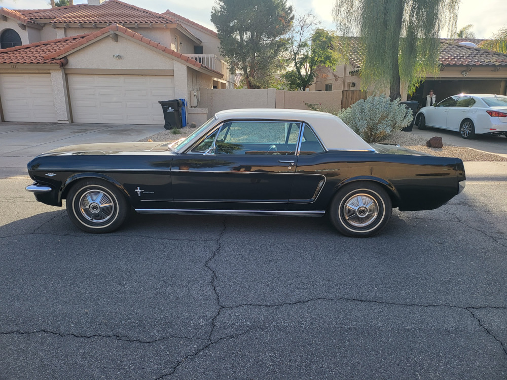 #442 - 1964 1/2 Ford Mustang D Code Coupe | MAG Auctions