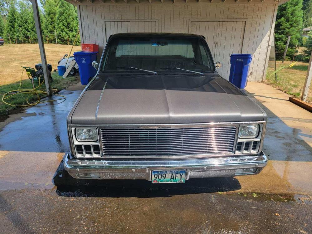 #122R - 1982 Chevrolet C10 Pickup | MAG Auctions