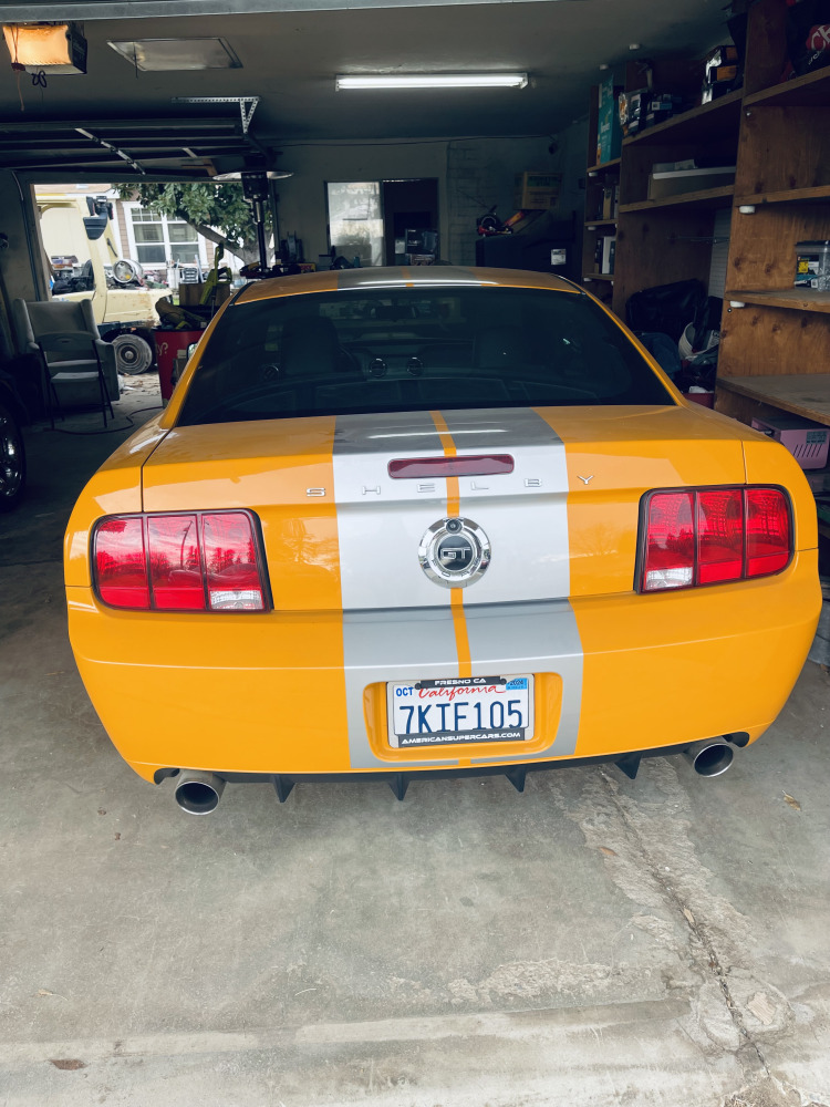 #234R - 2008 Ford Mustang Shelby GT-C | MAG Auctions