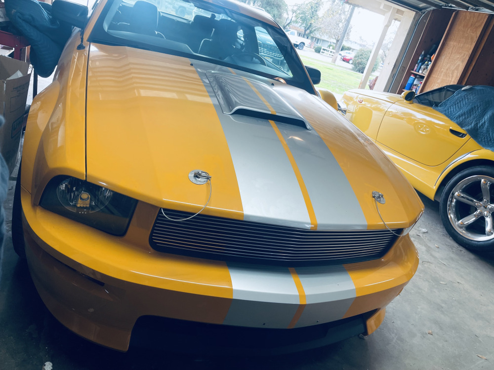 #234R - 2008 Ford Mustang Shelby GT-C | MAG Auctions