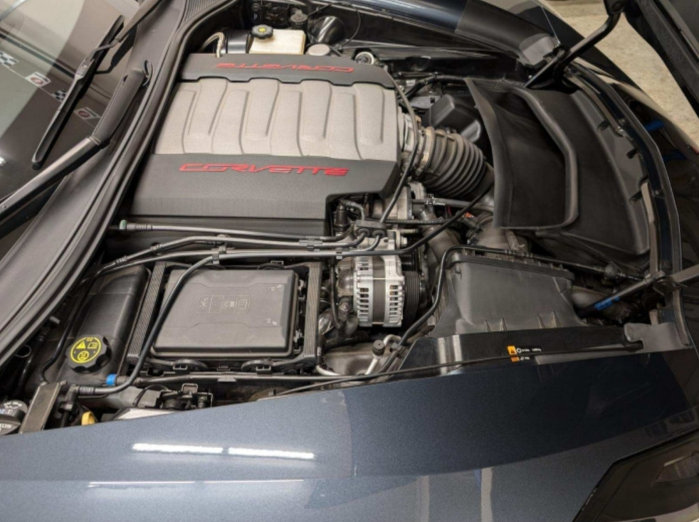 #176 - 2019 Chevrolet Corvette Stingray Z51 Carbon Package | MAG Auctions