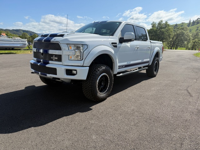 #206 - 2016 Ford Shelby F150 pickup | MAG Auctions