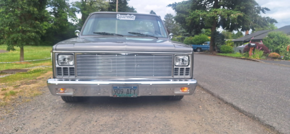 #203R - 1982 Chevrolet C10 Pickup | MAG Auctions