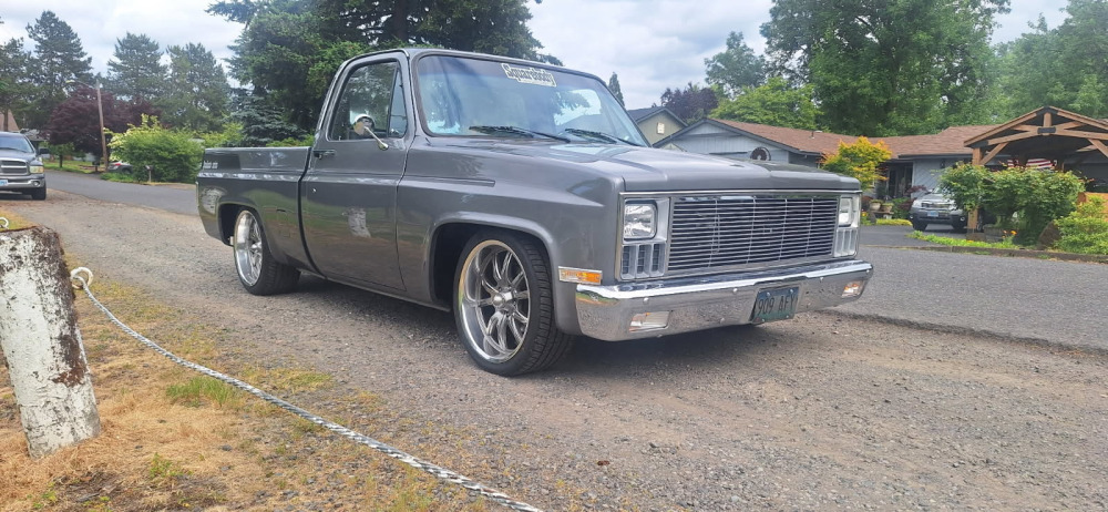 #203R - 1982 Chevrolet C10 Pickup | MAG Auctions