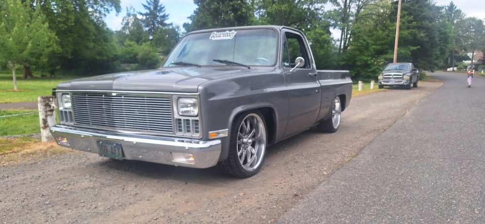 #203R - 1982 Chevrolet C10 Pickup | MAG Auctions