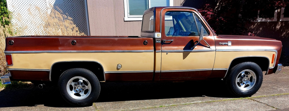 #394 - 1978 Chevrolet C20 Cheyenne pickup | MAG Auctions