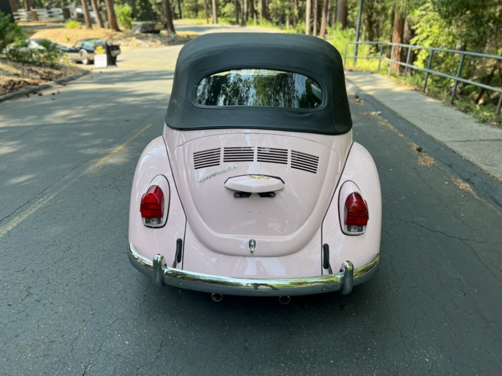 #138 - 1971 Volkswagen Beetle Convertible | MAG Auctions