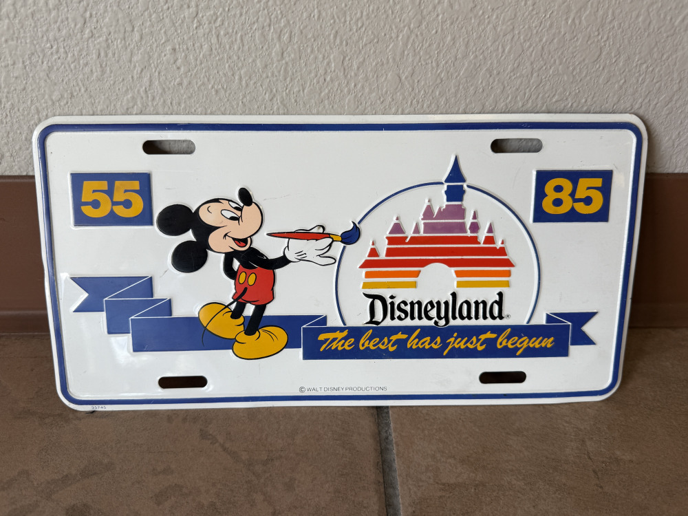#M164 - Disney License Plate & Looney Tunes Prints | MAG Auctions