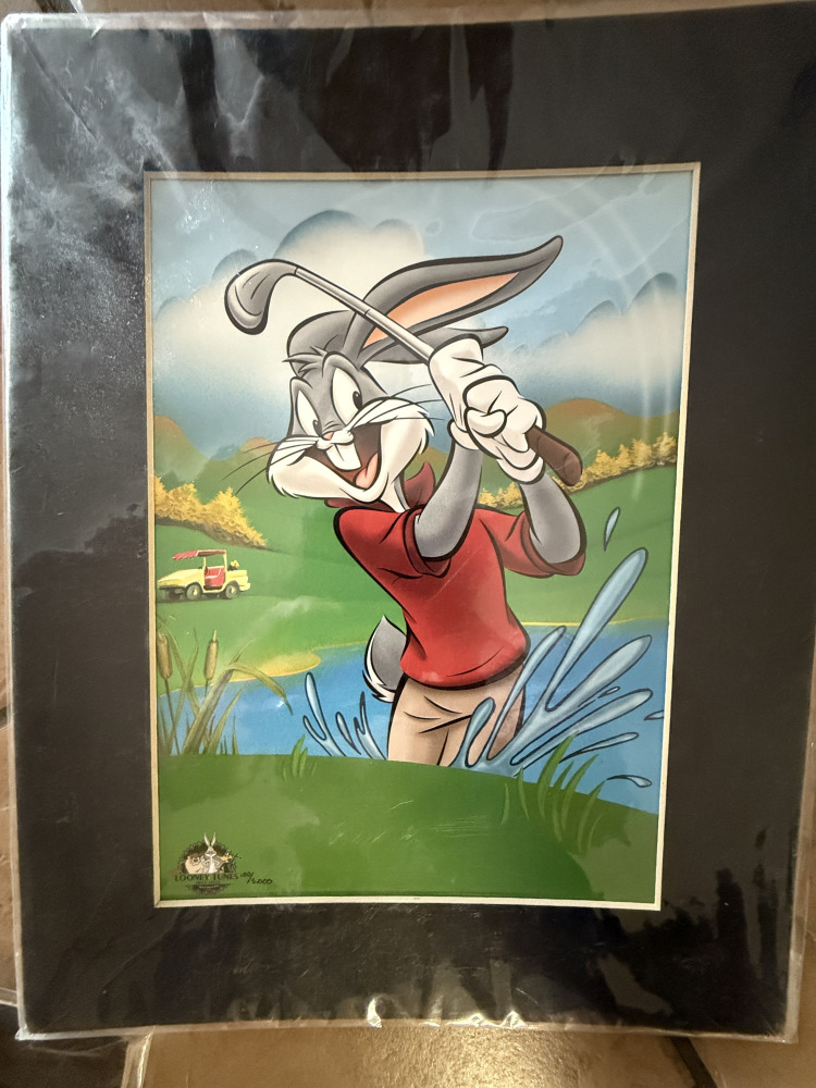 #M164 - Disney License Plate & Looney Tunes Prints | MAG Auctions