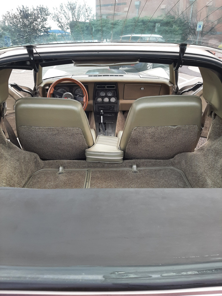 #195 - 1982 Chevrolet Corvette collectors edition | MAG Auctions