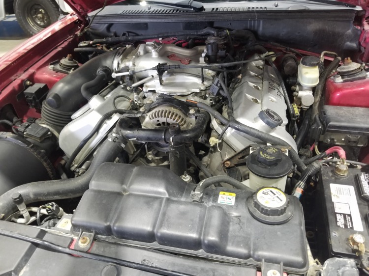 #694 - 2001 Ford Mustang Cobra SVT | MAG Auctions