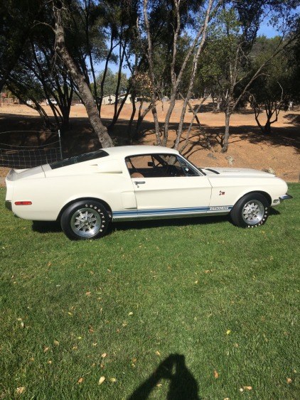 #406 - 1968 Ford Shelby GT500 KR | MAG Auctions