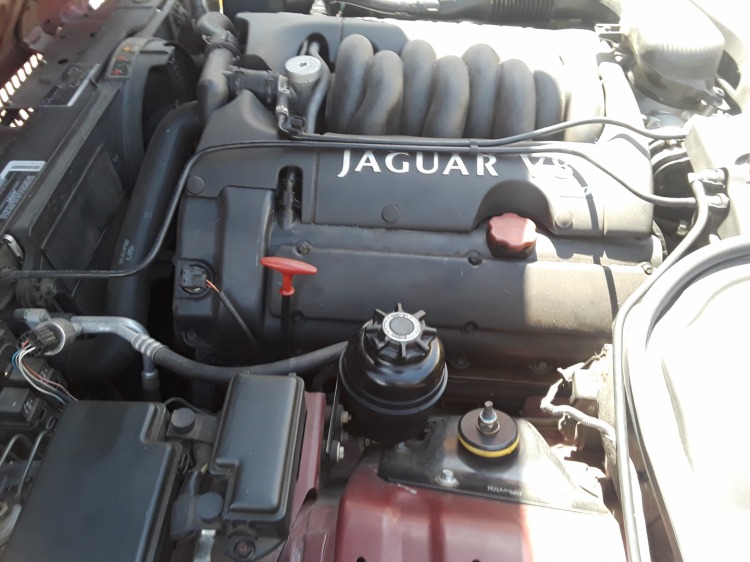 #138 - 2000 Jaguar XJ8 Vanden PLAS | MAG Auctions